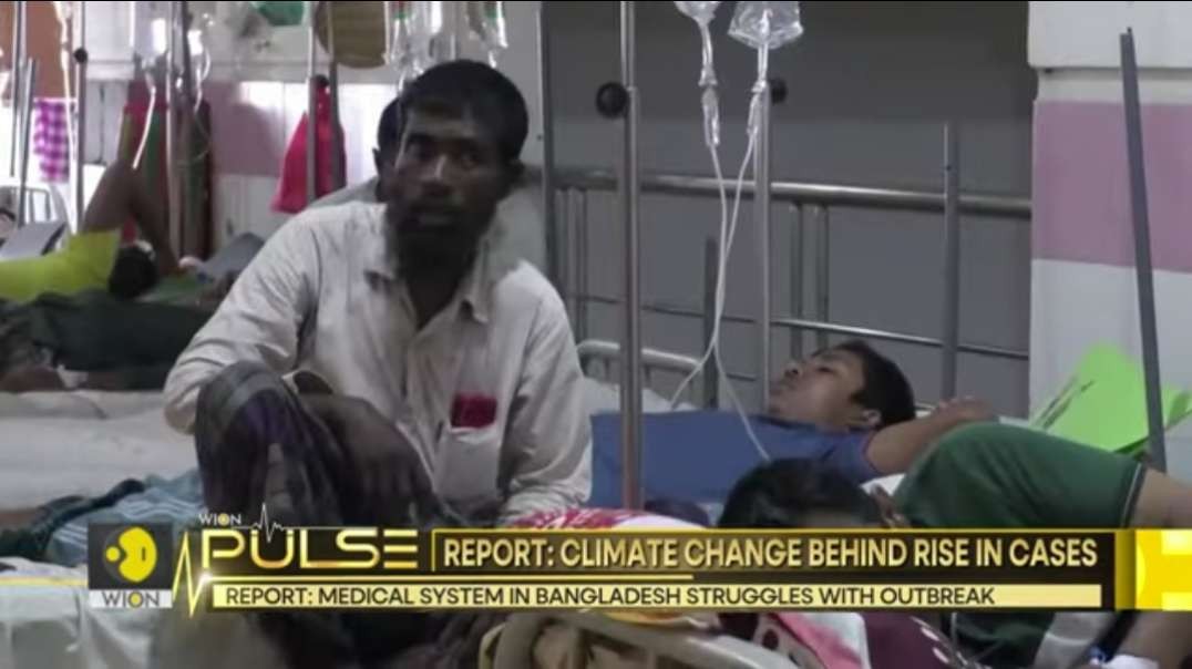 Bangladesh: Surge in dengue fever; death toll crosses 1000 mark | WION Pulse